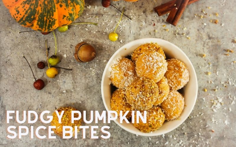 Fudgy Pumpkin Spice Bites Recipe – kitch-science